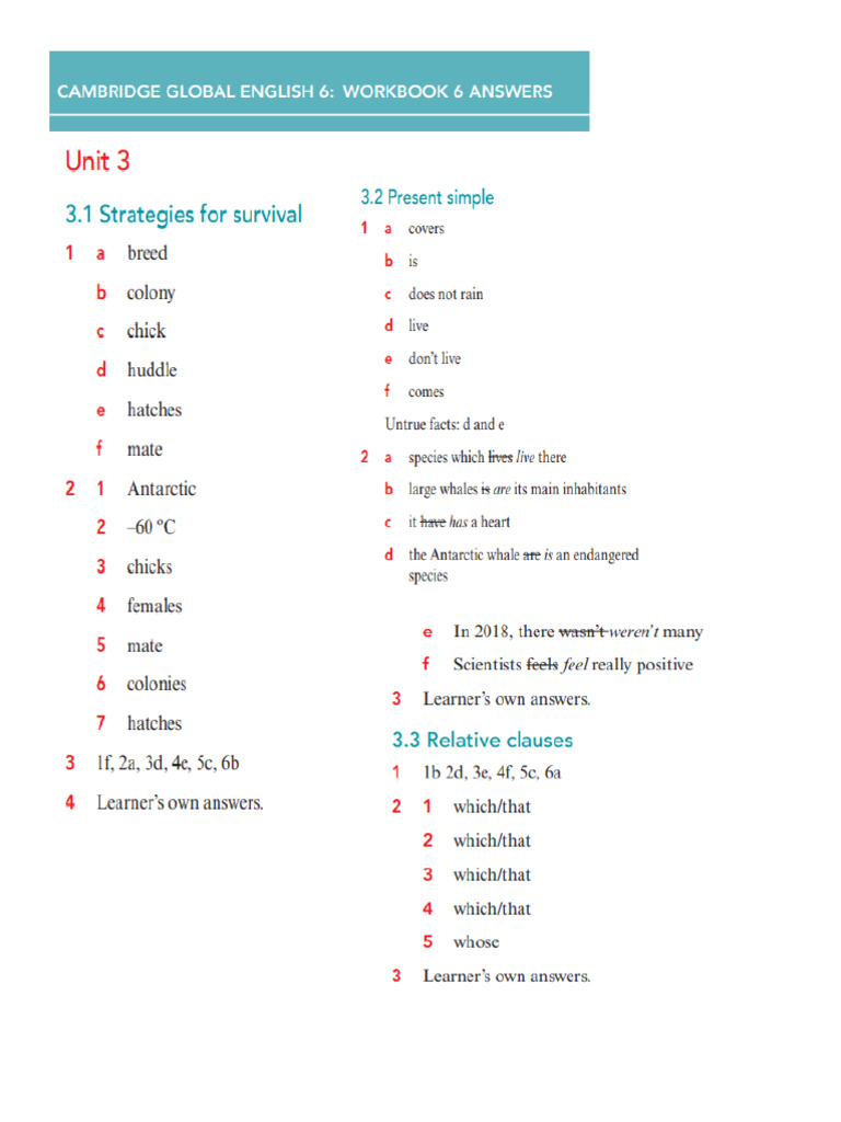 Year 6 English Workbook Answer Key | PDF