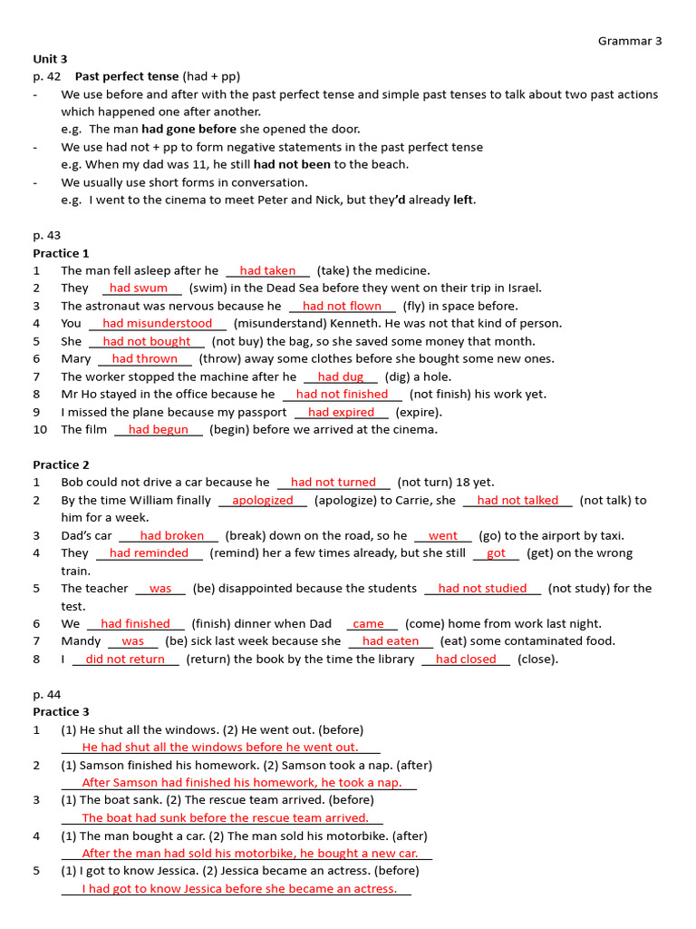 Success in Grammar 3 Unit 3 | PDF | Potato Chip