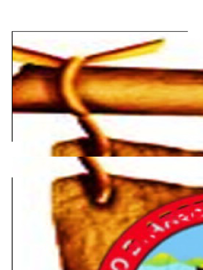 Tarpapel Foundation Dat | PDF