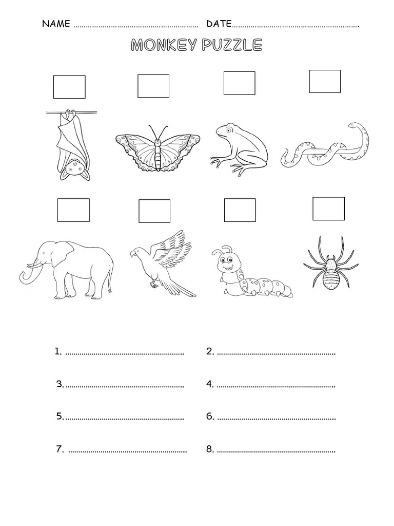 Order and Write Animals Wsheet | PDF