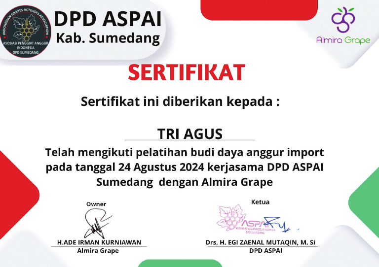 Tri Agus | PDF