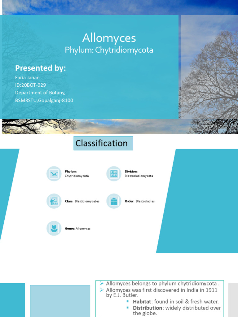 Allomyces | PDF | Fungus | Mycology