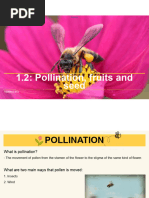 Pollination Worksheet Stage 5 Worksheet | PDF | Pollination | Science