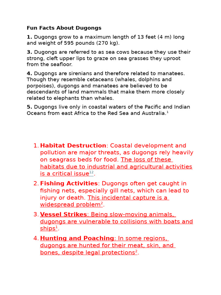 Fun Facts About Dugongs | PDF