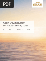Emirates Cabin Crew CV Sample | PDF