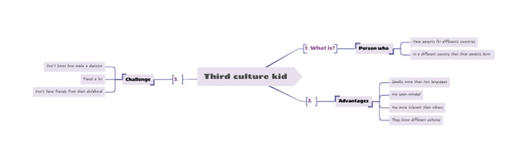 Third Culture Kid | PDF