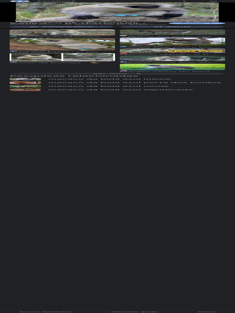 Macaco Bola Azul - Pesquisa Google | PDF