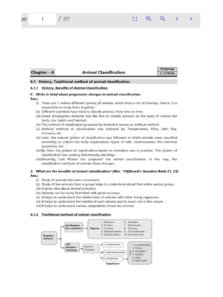 Animal Classification | PDF