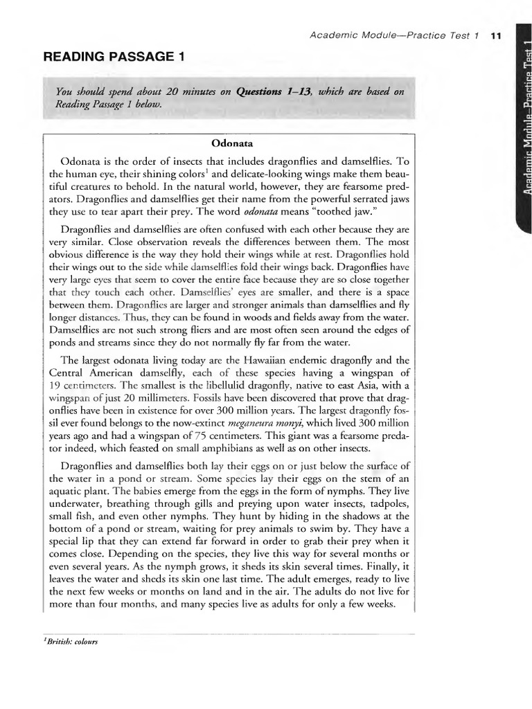 Barron Read 1 | PDF | Dragonfly | Fires