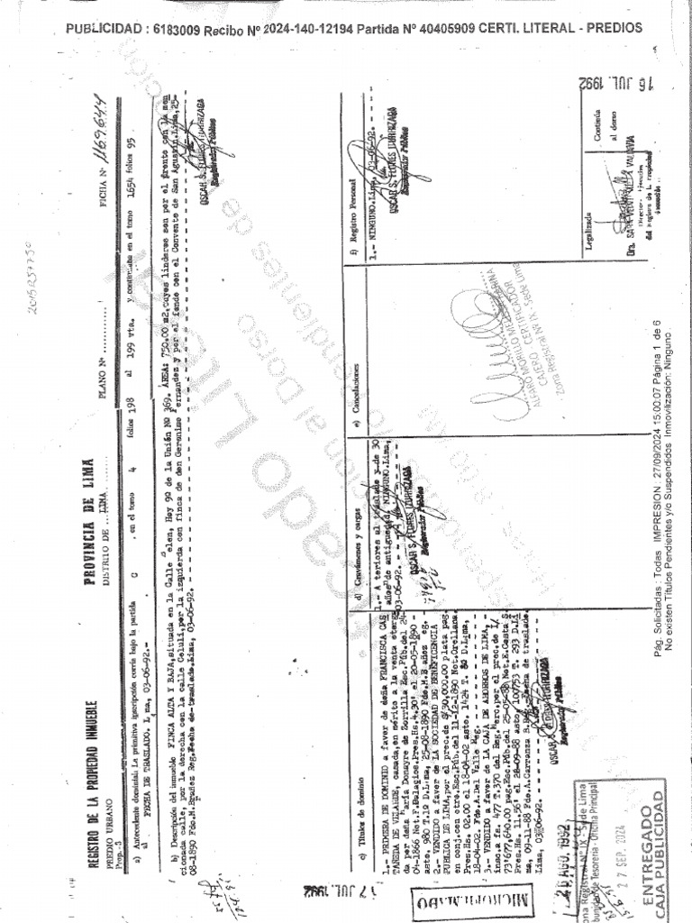 PARTIDA ELECTRÓNICA N° 40405909 | PDF