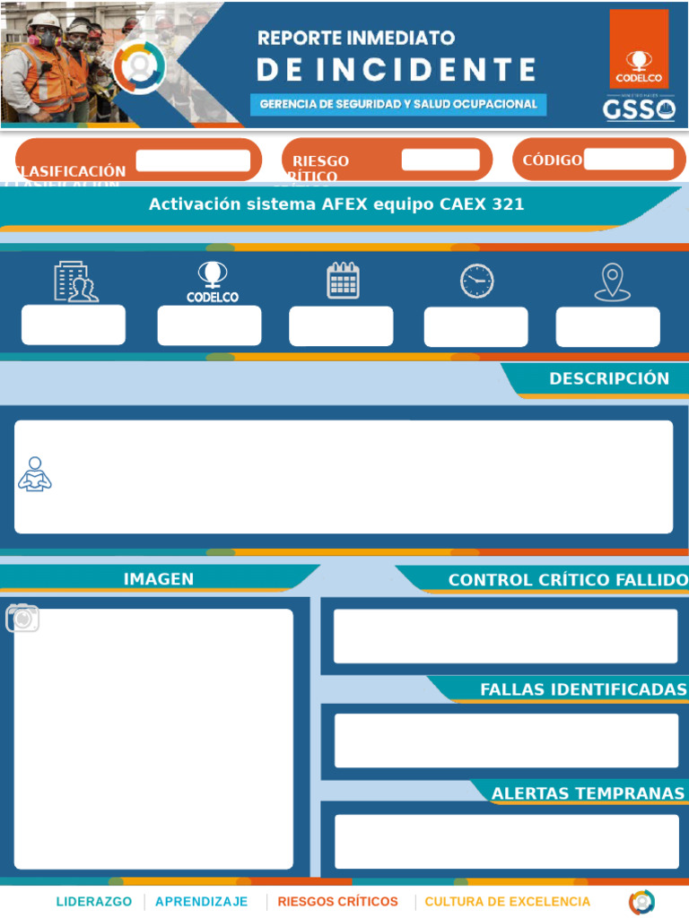 Planilla Reporte Inmediato FLASH | PDF