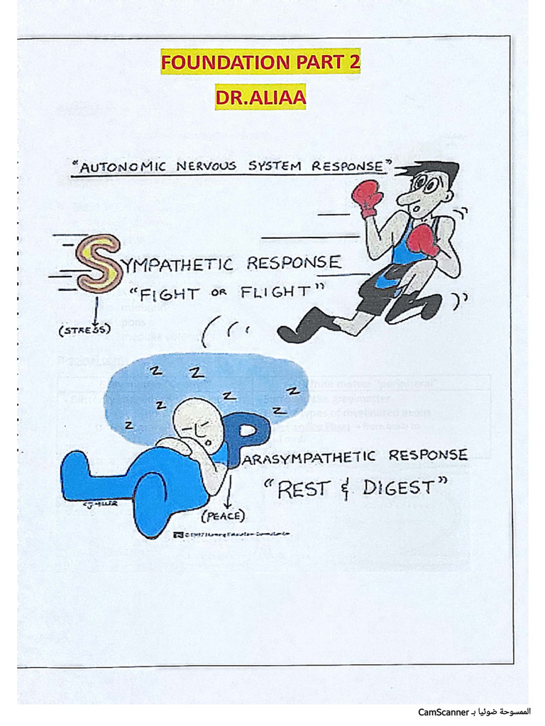 Physio - Dr.aliaa - Part 2 | PDF