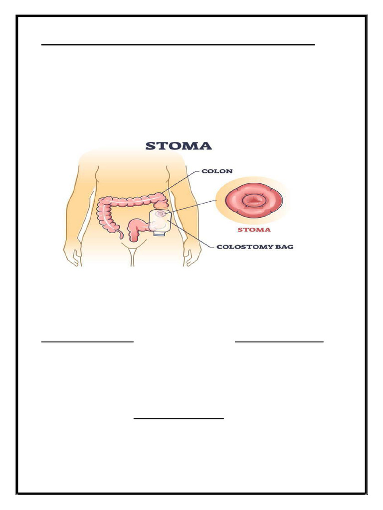 ARW Colostomy - Care PDF - 122254 | PDF | Gastroenterology | Medical Specialties