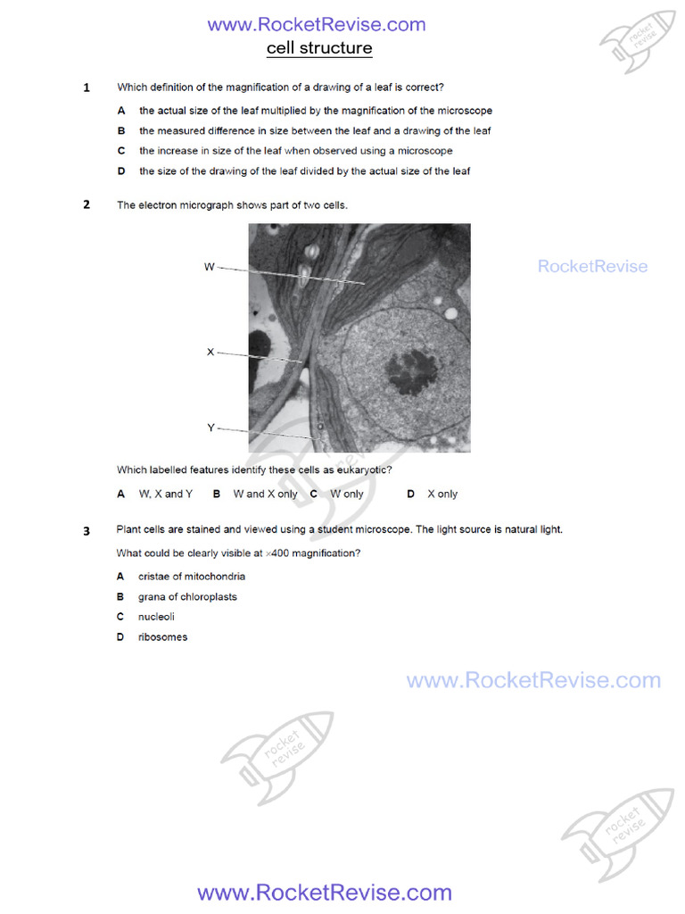 1 Cell Structure QP | PDF