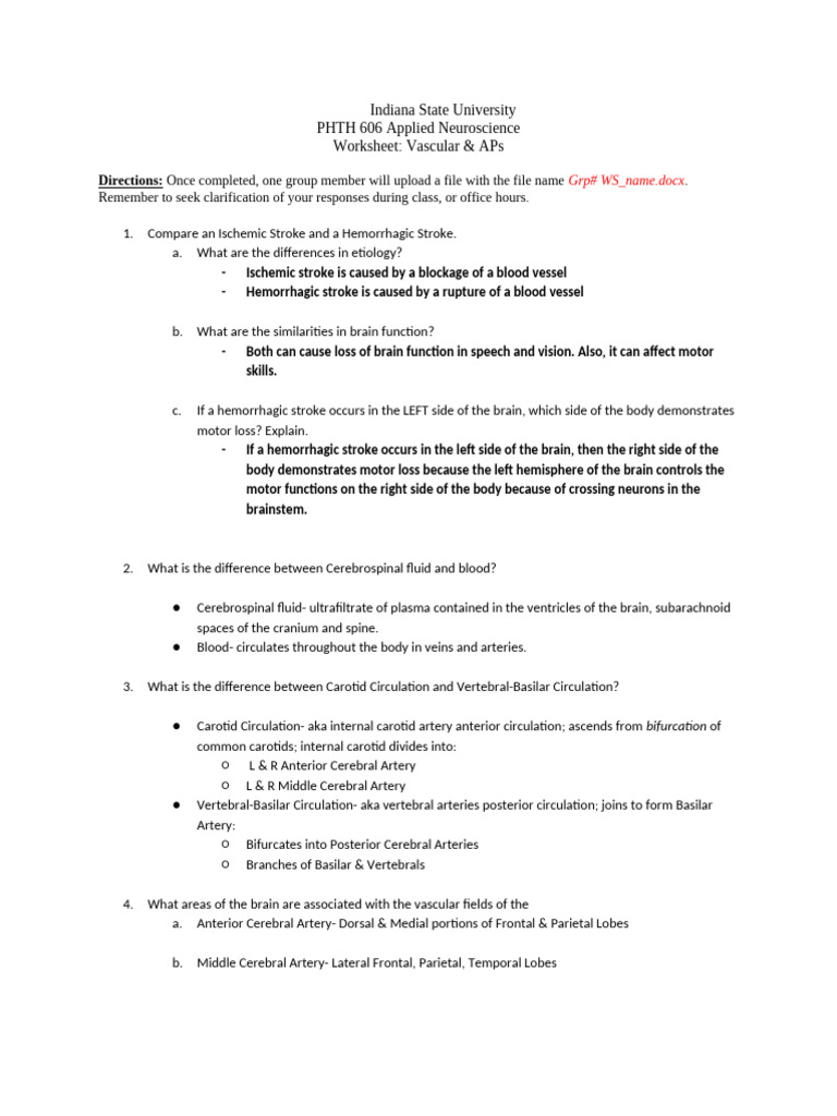 Grp2 WS 02 - Vascular & APs | PDF | Neuron | Axon