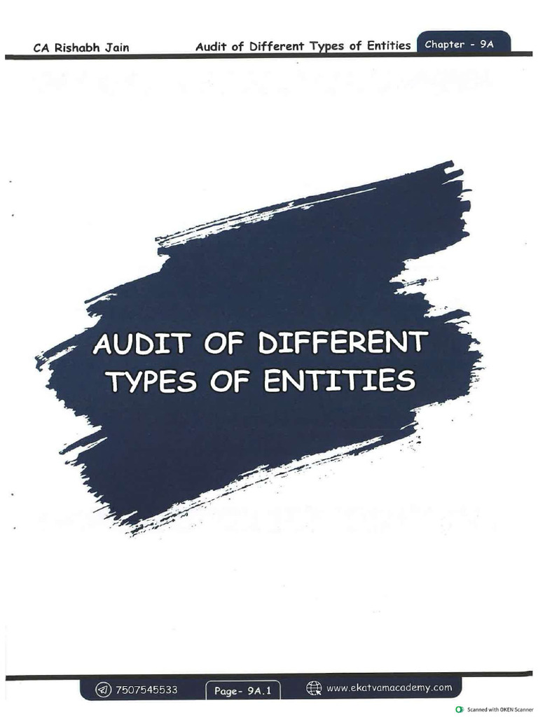 Diff Type of Entities | PDF