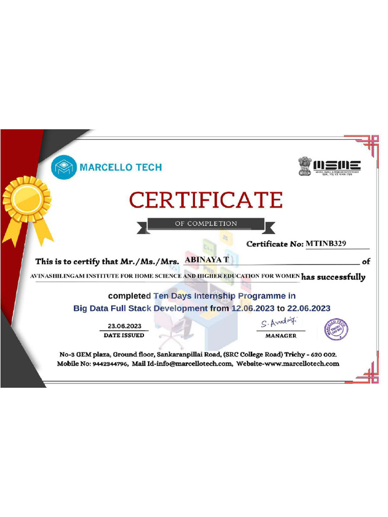 Marcello Tech Internship | PDF