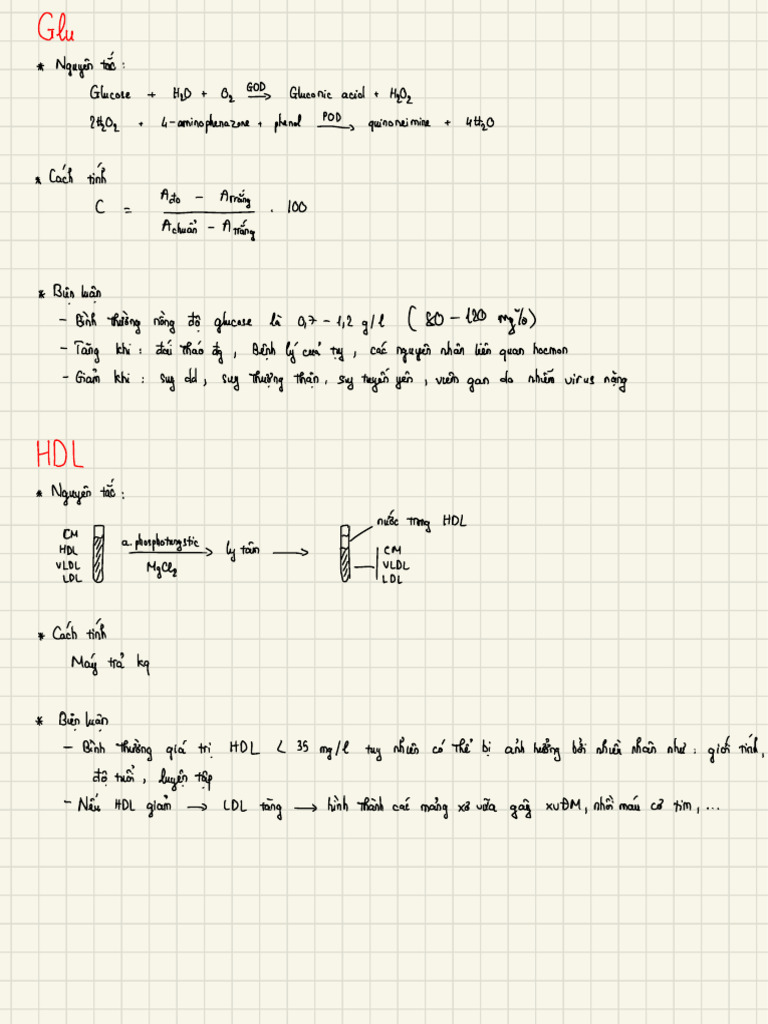 Untitled Notebook | PDF