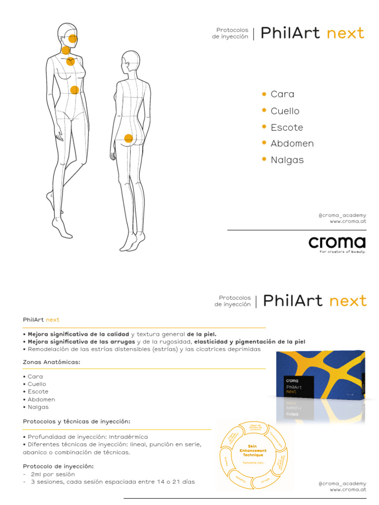 Protocolo PhilArt Next | PDF