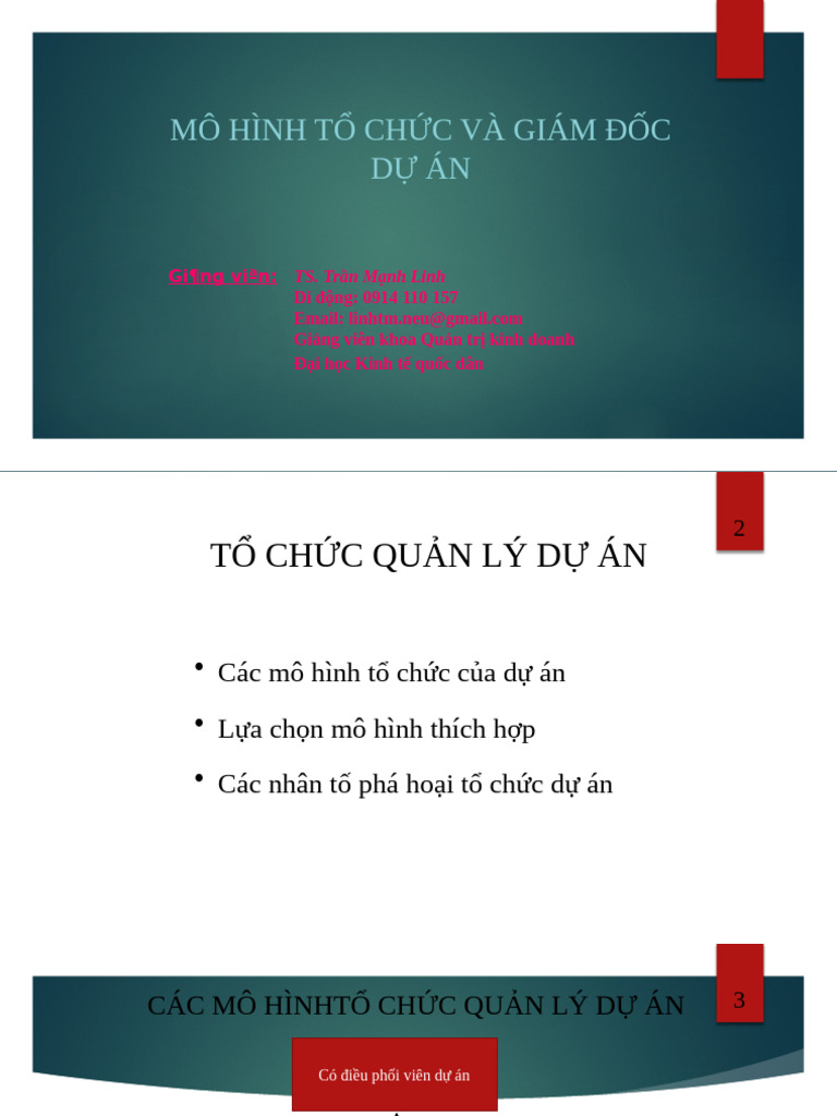 Mô Hình T CH C, GĐ D Án | PDF