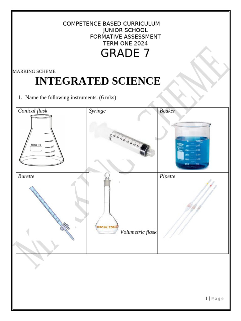Grade 7 Integrated Science MS4 | PDF