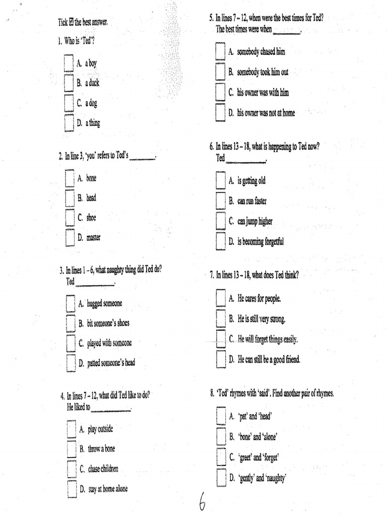 (HPS) P6 Comprehension ws | PDF