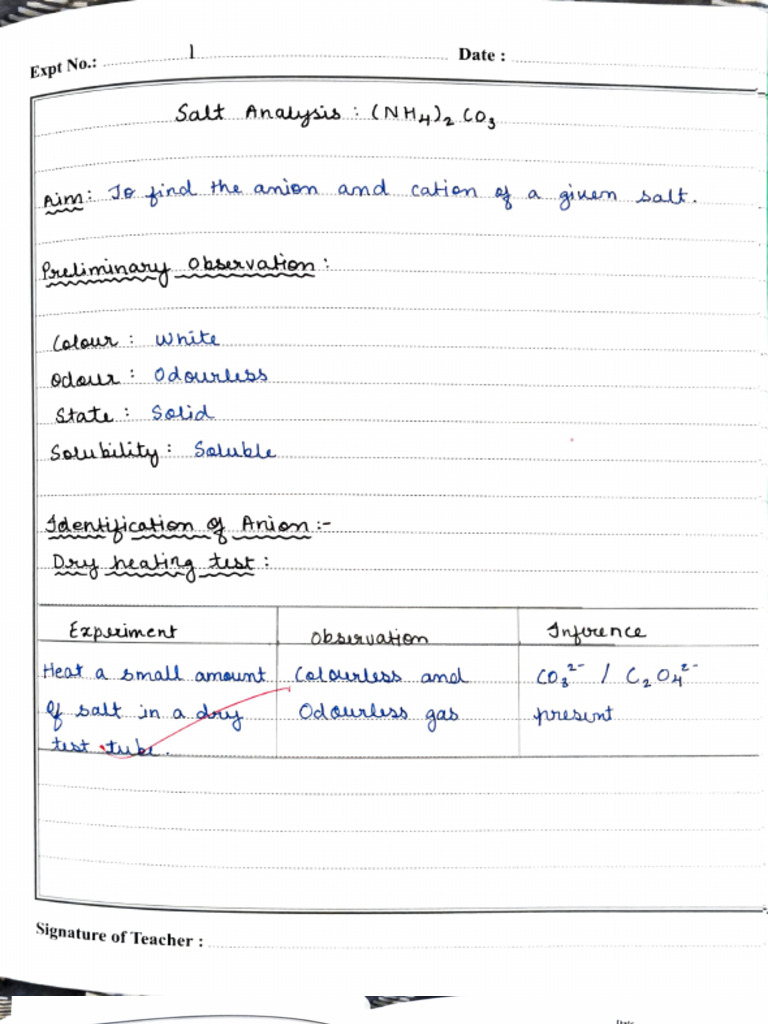 Chem Lab Record | PDF