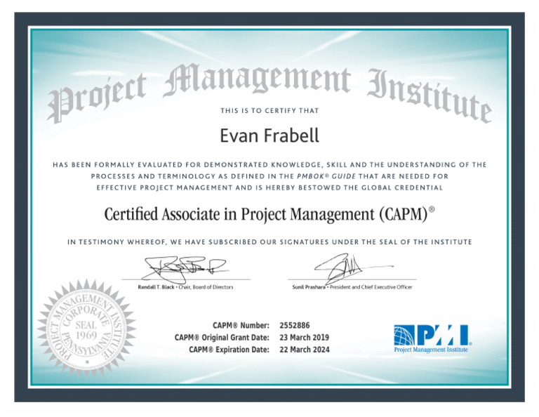 CAPM | PDF