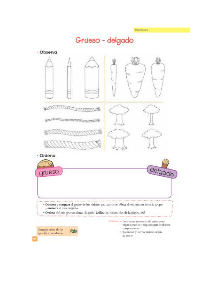 Grueso o Delgado | PDF