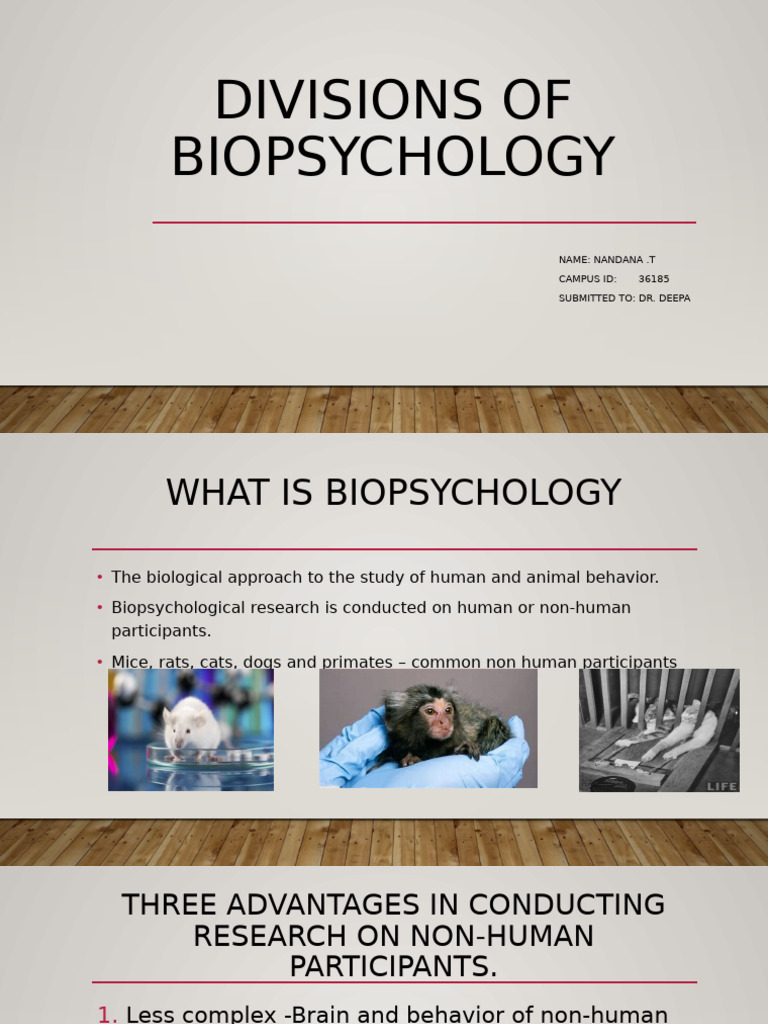 Divisions of Biopsychology Explained | PDF | Behavioral Neuroscience ...
