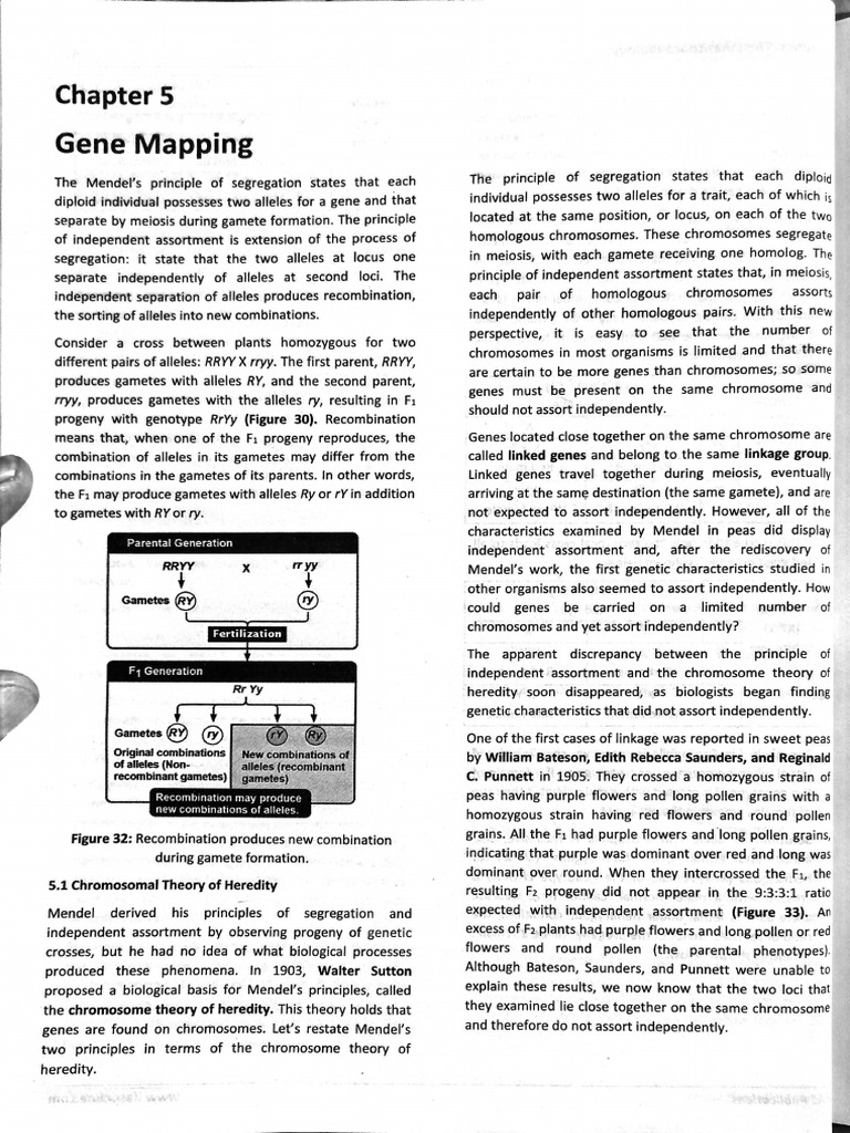 C-5 Gene Mapping | PDF