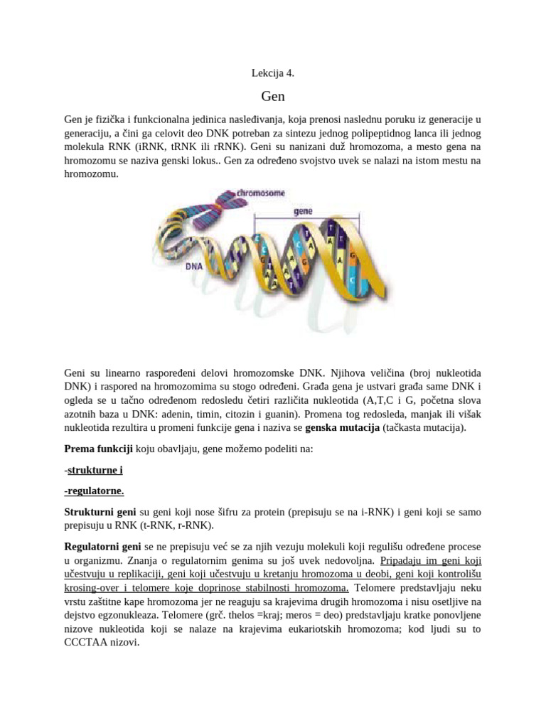 Lekcija 4 Gen I Genske Mutacije | PDF