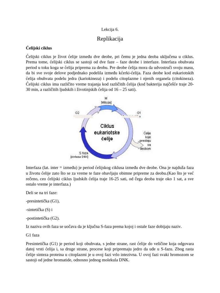 Lekcija 6 Replikacija | PDF