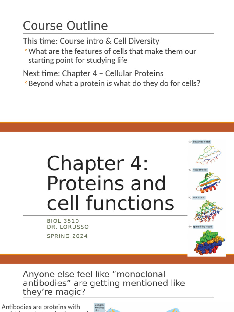 CH4 Proteins SP24 | PDF | Proteins | Protein Structure