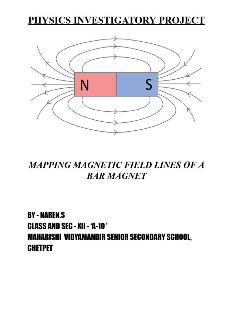 Mapping Magnetic Field Lines Experiment | PDF