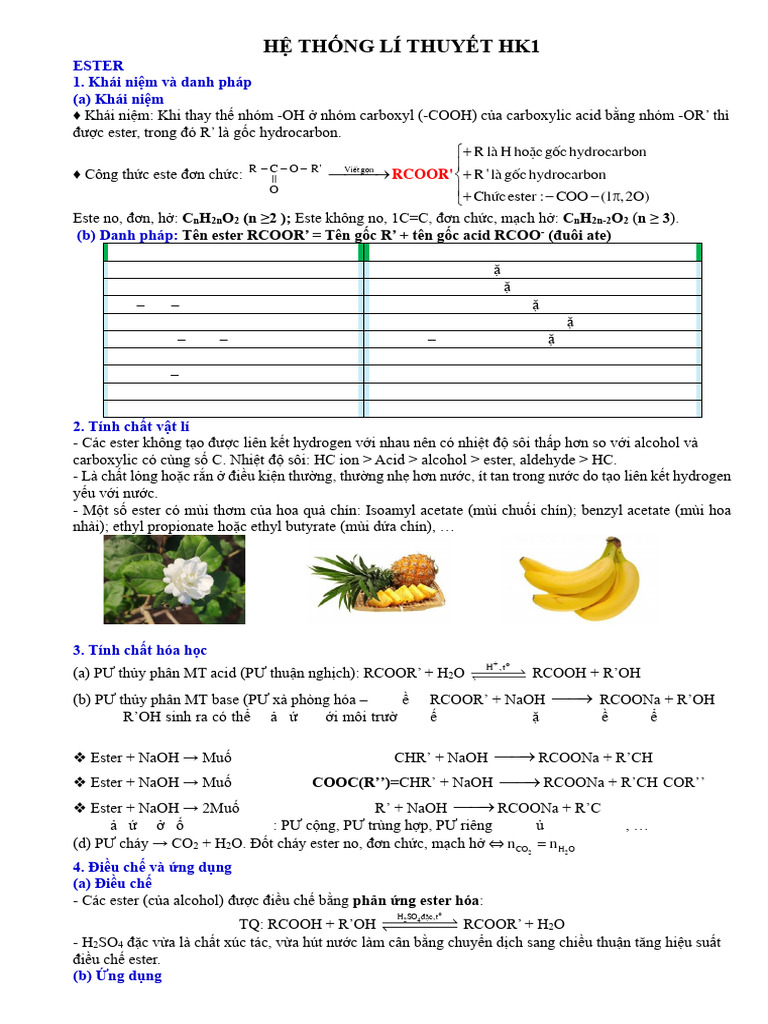 HỆ THỐNG LÍ THUYẾT HK1 (DE) | PDF