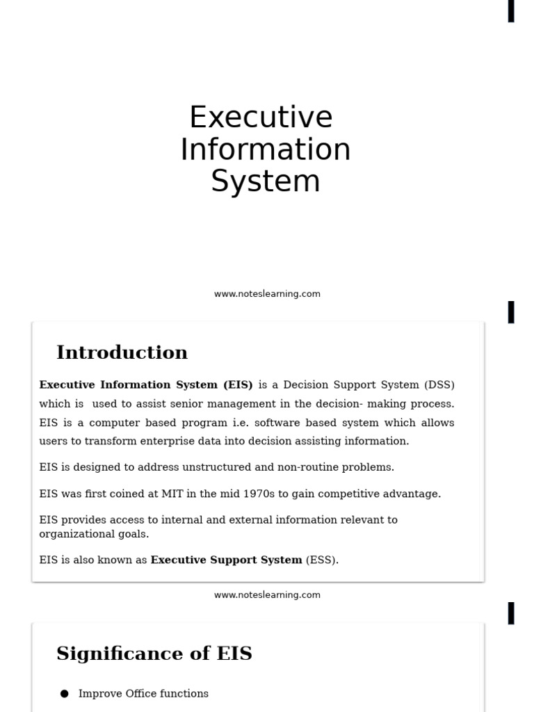 Executive Information System Overview | PDF | System | Information