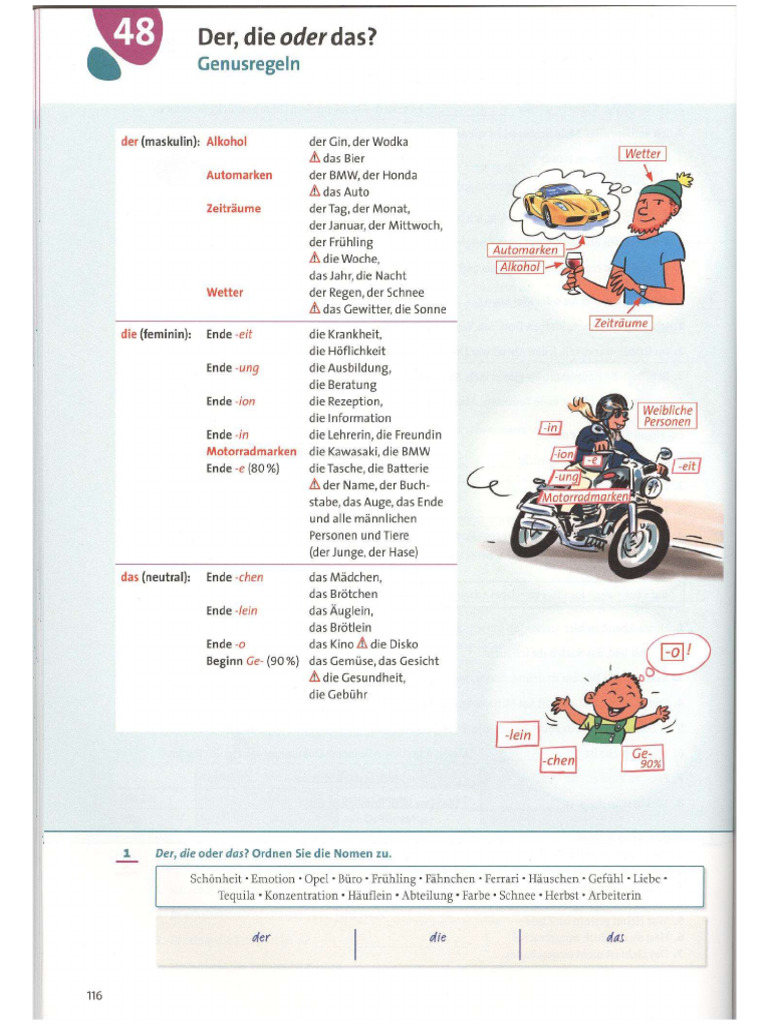 Genus Regeln | PDF
