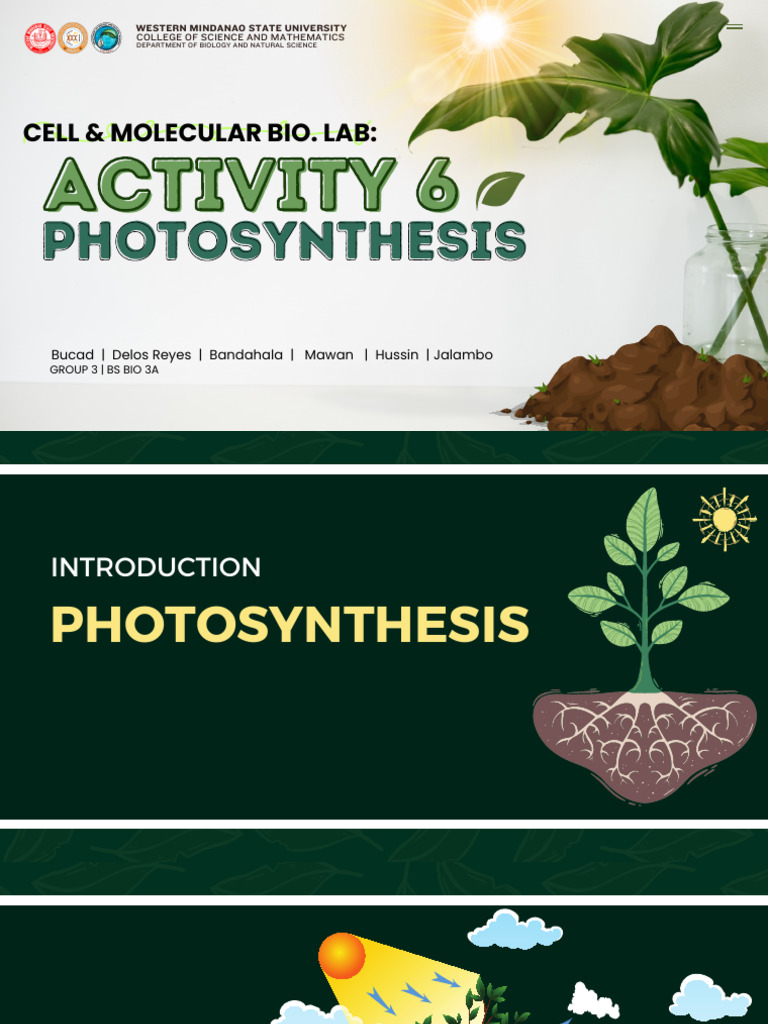 Photosynthesis Lab Guide | PDF | Photosynthesis | Chloroplast