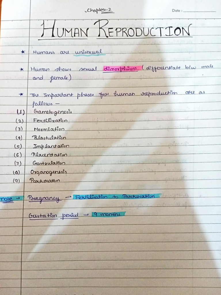 Human Reproduction CHP 2 | PDF