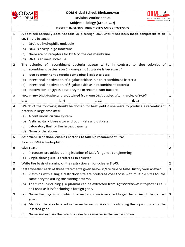 XII-Biology-04-BIOTECHNOLOGY- PRINCIPLES AND PROCESSES | PDF | Rna ... XII-Biology-04-BIOTECHNOLOGY- PRINCIPLES AND PROCESSES | PDF | Rna ...