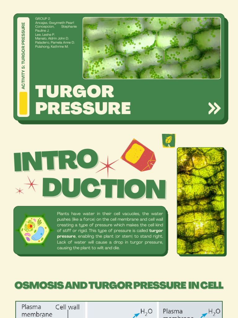 Act 5 - Turgor Pressure - Group 2 | PDF | Life Sciences | Biology