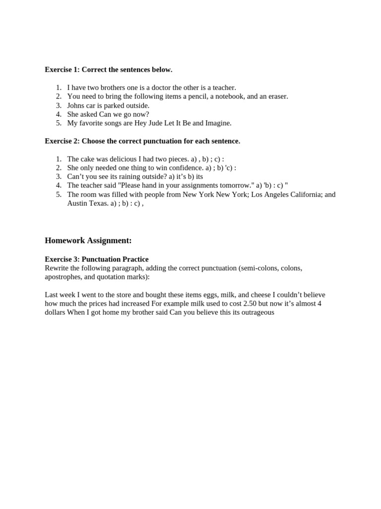 Exercise 1 On Punctuation | PDF