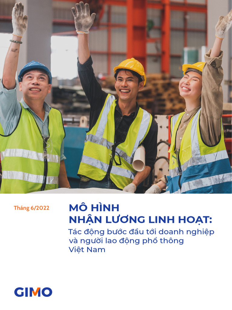 Gimo Report (Tiếng Việt) | PDF