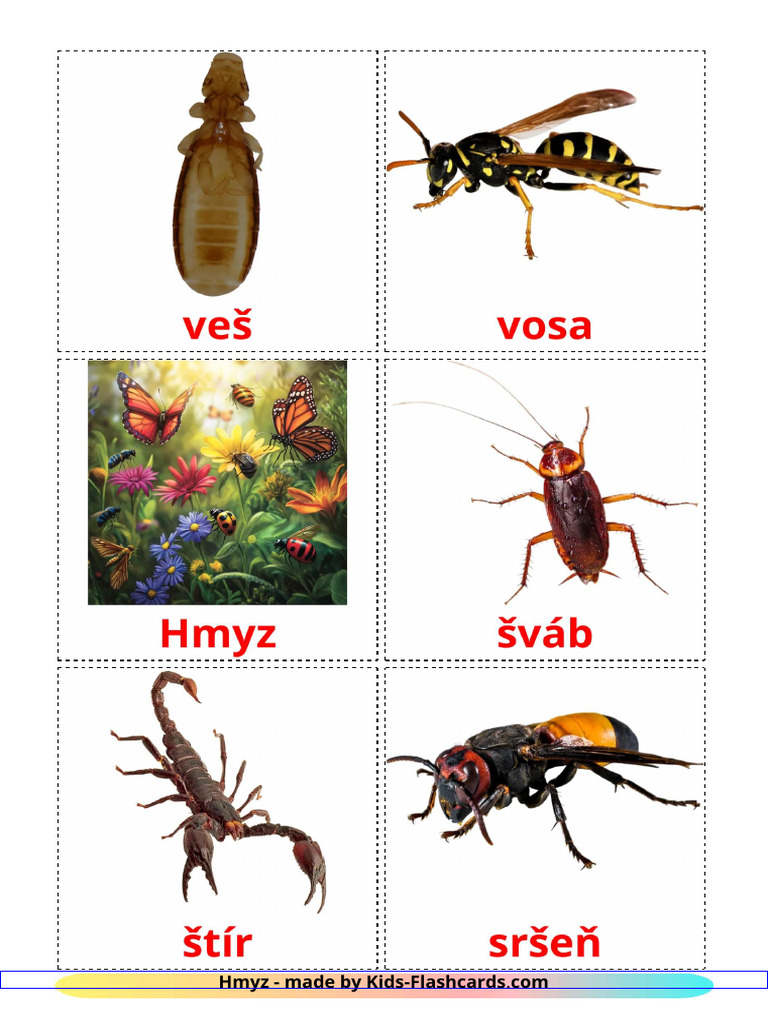 hmyz-6-a4 | PDF