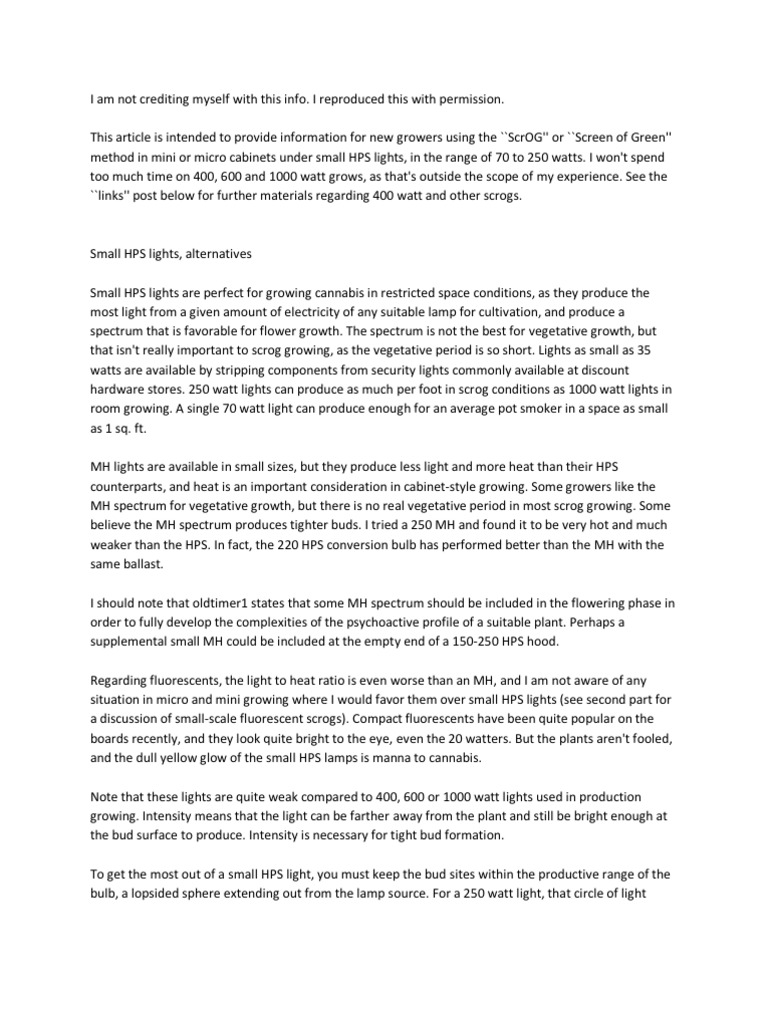 Growing Cannabis Using the Screen of Green (ScrOG) Method Under Small ...