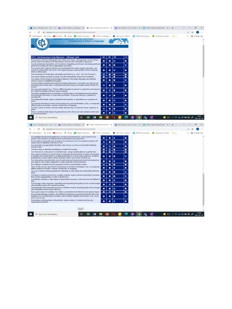 ECL Oral Assessment Scale | PDF