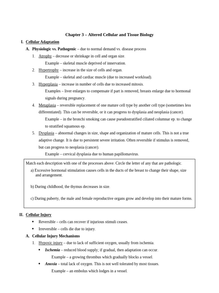 Chapter 2 - Altered Cellular and Tissue Biology Study Guide | PDF ...