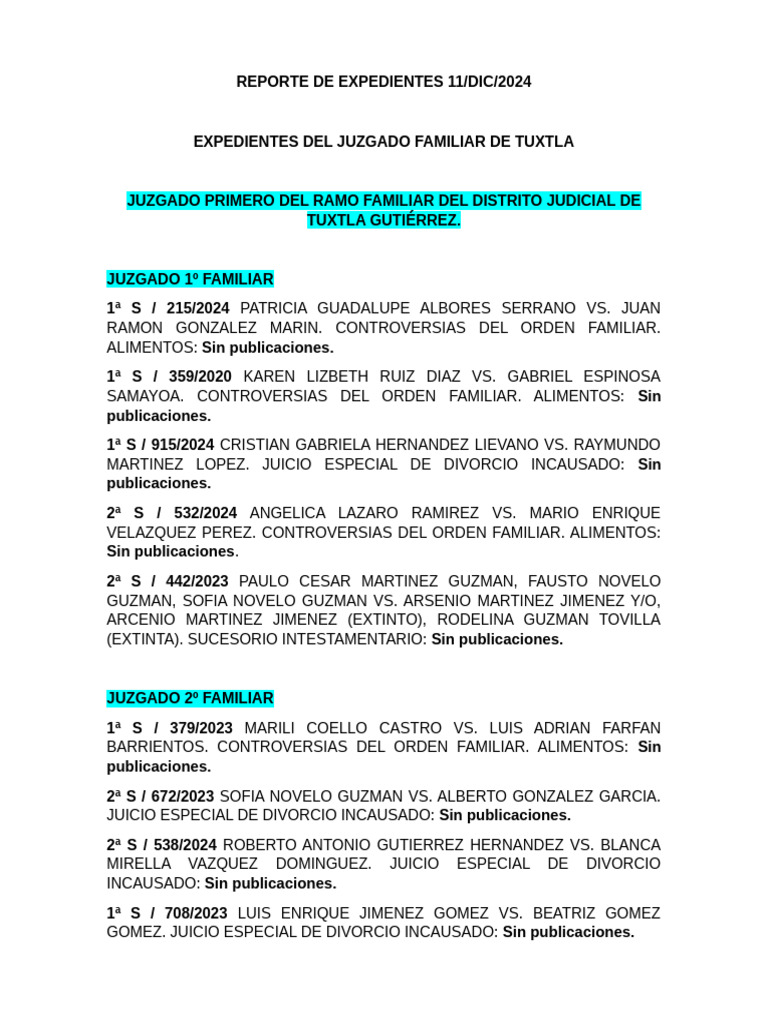 Reporte 11 DIC 2024 | PDF