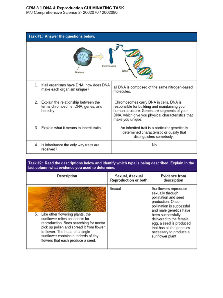 DNA and Reproduction: Key Concepts Explained | PDF | Sexual ...